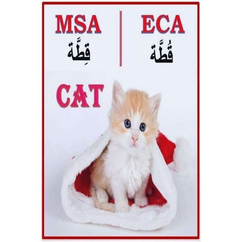 Words in Modern Standard Arabic and Egyptian Colloquial Arabic | PPTX