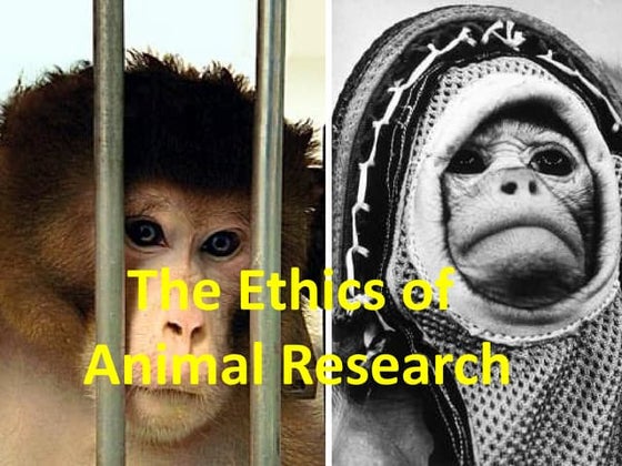 Ethics of Using animals in Research | PPTX | Biological Sciences | Science