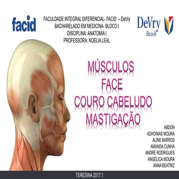Anatomia da face | PPT