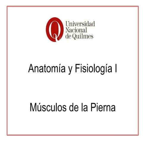 Musculos posteriores de la pierna | PPTX