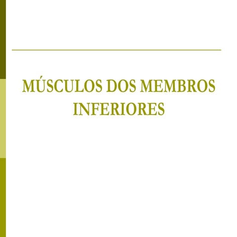 Músculos dos membros inferiores | PPT