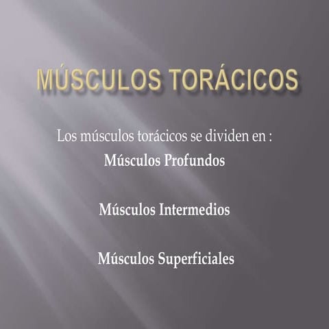 Músculos Costales del Tórax | KEY