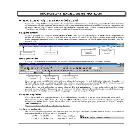 Msexcel (1) | PDF