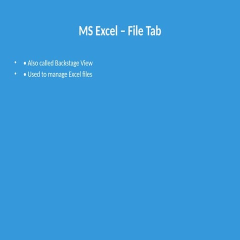 MS_Excel_File_and_Home_Tab_COLORED (1).pptx