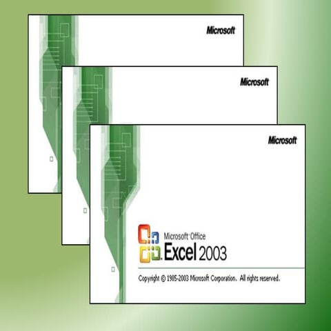 Ms Excel Lecture Pptx 3802