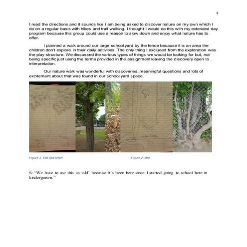 Nature Walk Assignment | DOCX