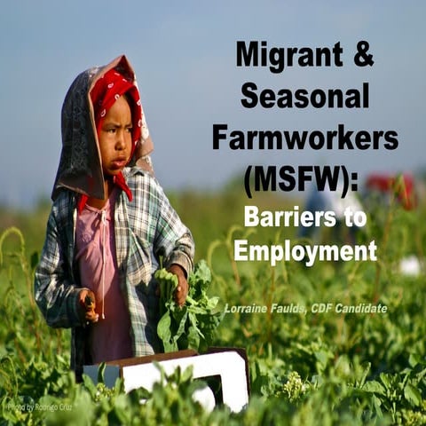 Migrant and Seasonal Farmworkers | PPT