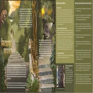 Msgnp brochure marathi | PPT