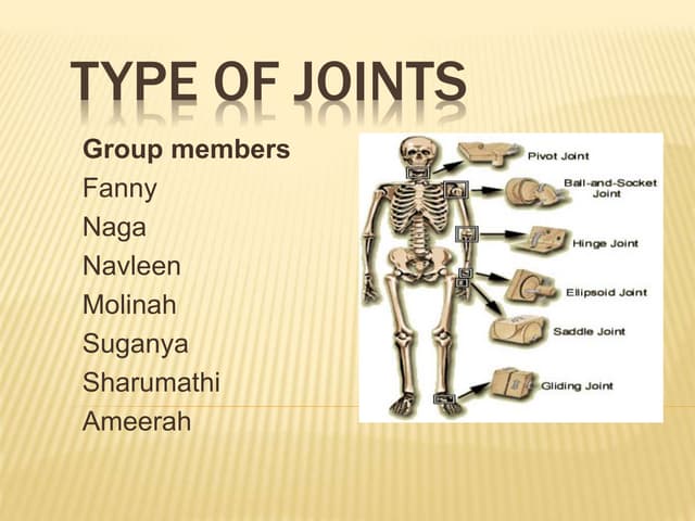 joints | PPT
