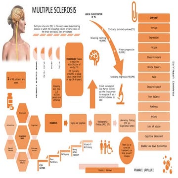 MS INFOGRAPHICS.pptx