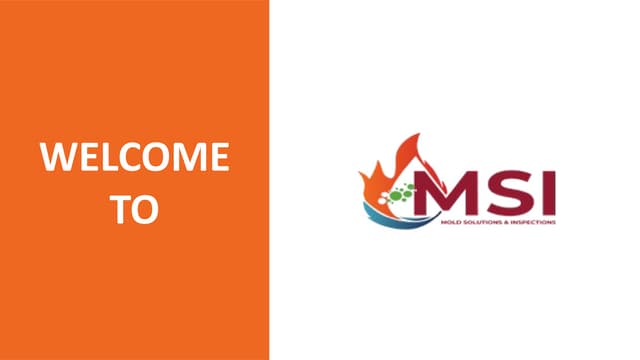 Welcome To Mold Solutions & Inspections Services.pptx
