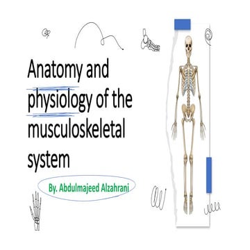 muscoloskeletal anatomy and physiology .pdf