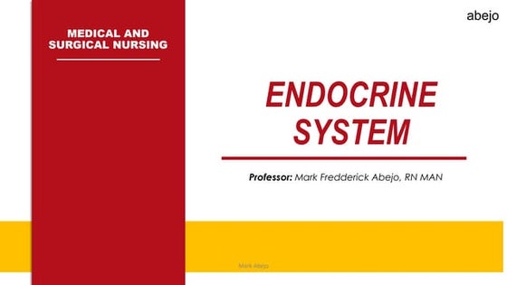 Philippine Nursing Act of 2002 ( R.A 9173) | PDF