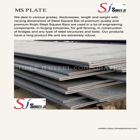 Ms plate | PPTX