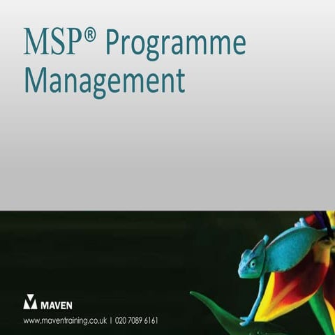 MSP Quick Guide | PPSX