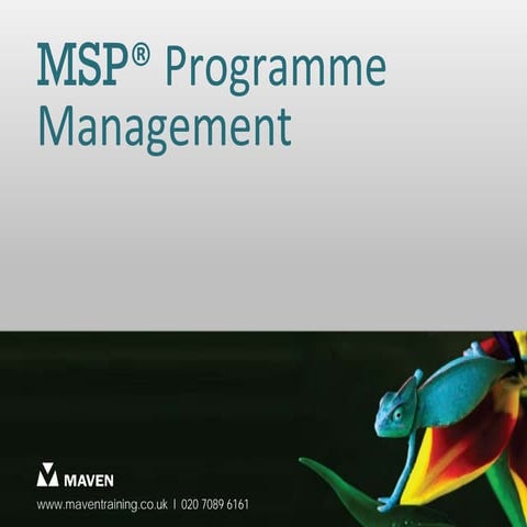 MSP quick guide | PDF