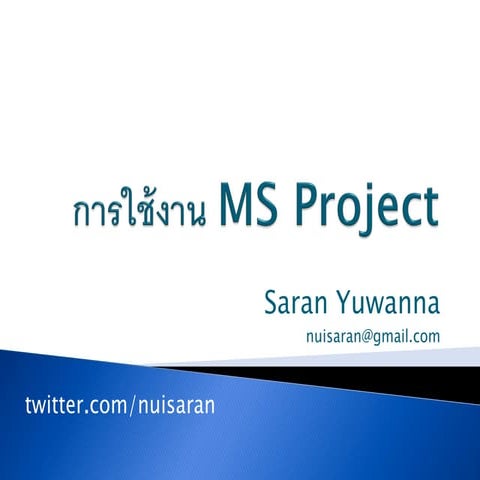 Ms Project | PDF