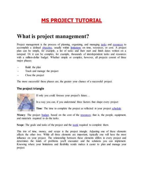 MS Project Terminology -Top 20 terms everyone must know | PDF