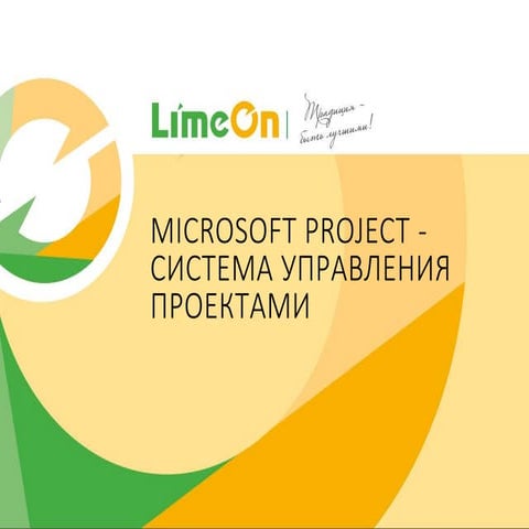 Автоматизация проектного управления (LimeOn Global Company) | PPT