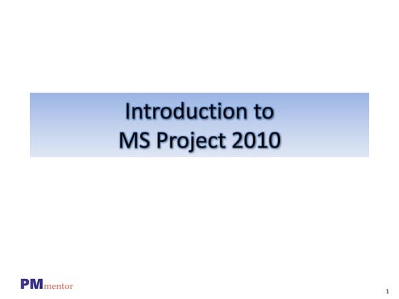 MS Project Terminology -Top 20 terms everyone must know | PDF