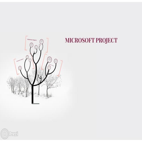 MICROSOFT PROJECT | PPT