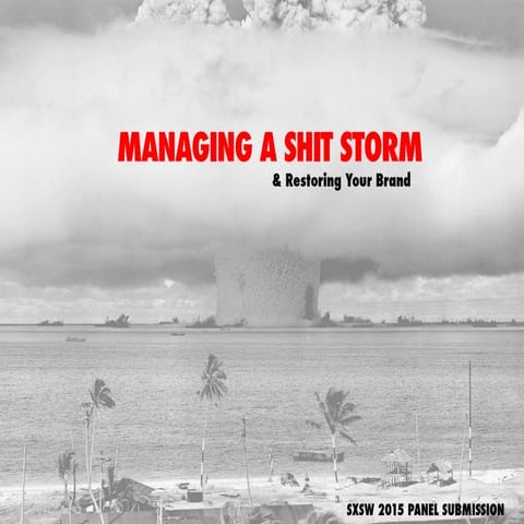 MANAGING A SHIT STORM & Restoring Your Brand | PDF