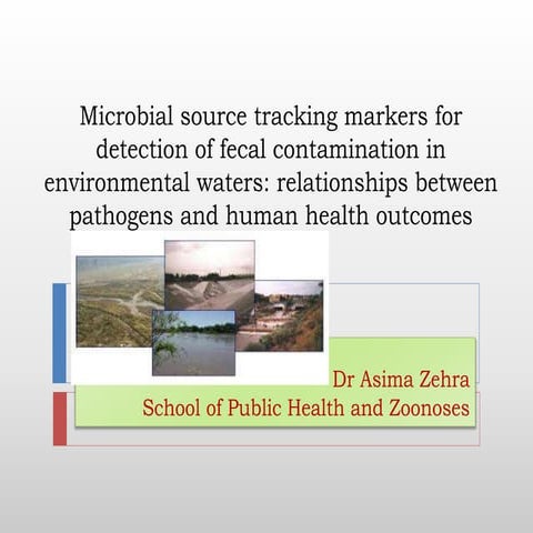 Microbial source tracking markers for detection of fecal contamination ...
