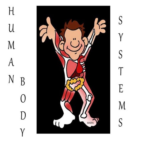 Msu3780 2016 human_body_systems__1._skeletal | PPT