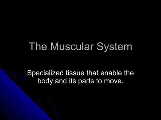 Gcse Pe Revision Antagonistic Muscle Pairs Ppt