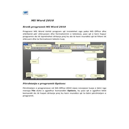 Ms word 2010 | PDF