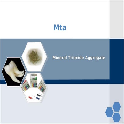 mta | PPT