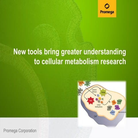 New tools bring greater understanding to cellular metabolism research ...