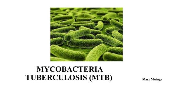 Mycobacterium tuberculosis(Microbiology) | PPT