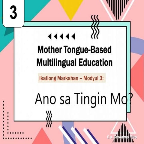 mother tongue for primary level students. | PPTX