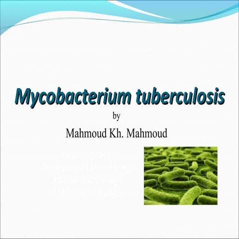Mycobacterium tuberculosis | PPT
