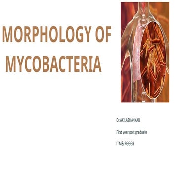 Morphology of mycobacterium tuberculosis | PPTX