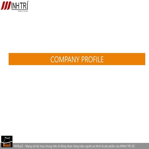 Minh Tri JSC company profiles plus_mrbuzz_v1 | PPT