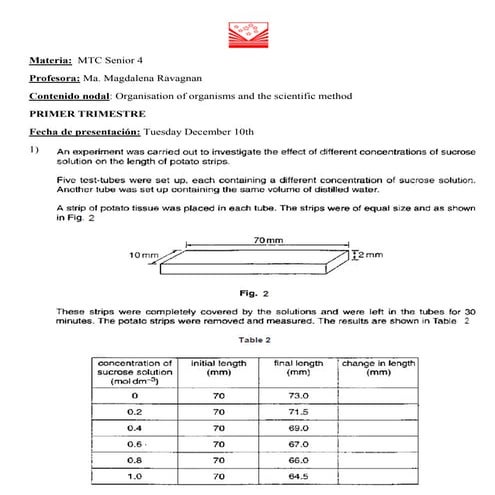 Mtc s4, 1st. term quest dec 2013 | PDF