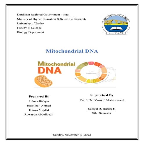 Mitochondrial DNA Report - Rasol Sindy | PDF
