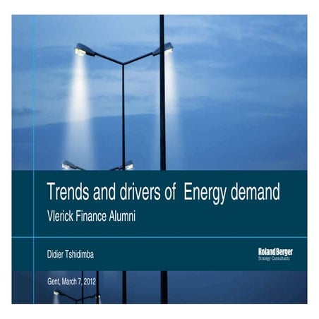 Didier Tshidimba, Managing Partner, Roland Berger Strategy Consultants ...