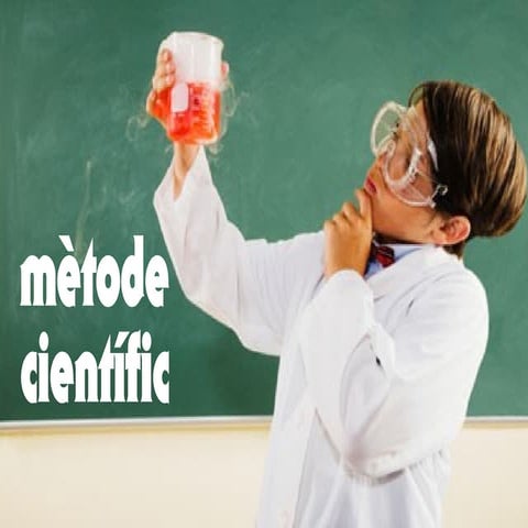 Descripció d'elements | PPT