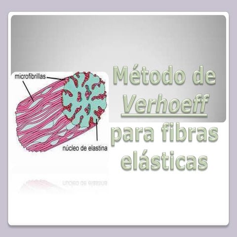 Método verhoeff | PPTX | Chemistry | Science