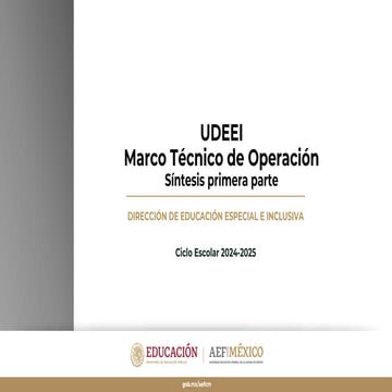 Marco técnico operativo UDEEI 16.agosto.24 vf.pdf