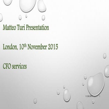 Matteo Turi presentations