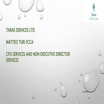 Taras Services Ltd - CFO Services & Prices | PPTX