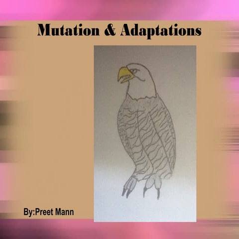 Mutation Project | ODP