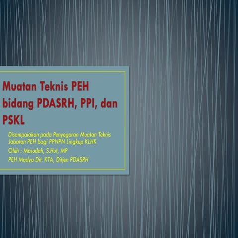 Muatan Teknis PEH bidang PDASRH, PPI,PSKL.pdf