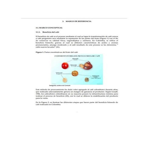 Mucilago | DOCX
