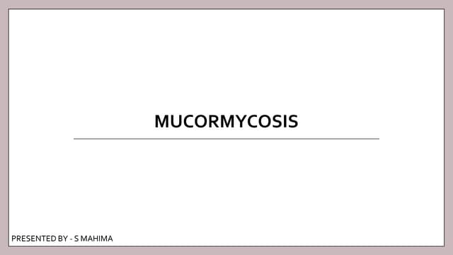 Mucormycosis | PPTX | Ear, Nose and Throat Conditions | Diseases and ...