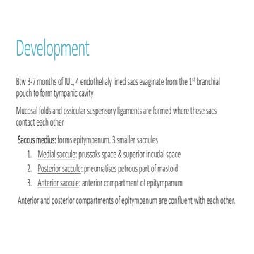 mucosal folds.pptx